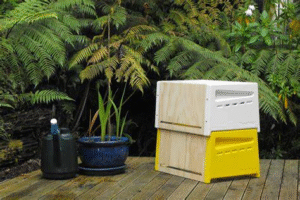 Sustainable And Modular Hive Designs For Beekeeping Made Easy - Bee Keeping