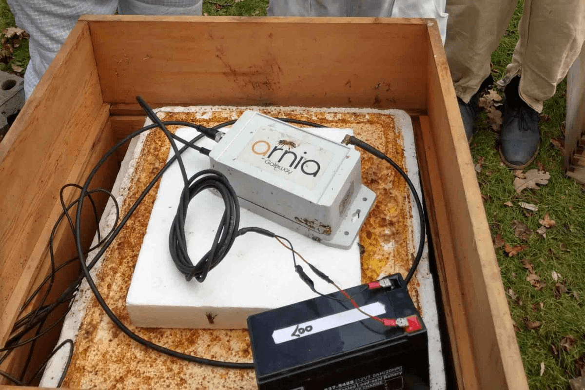 Arnia Remote Hive Monitoring: Revolutionizing Beekeeping With Smart ...